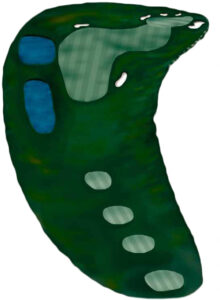 Courses & Facilities - The Golf Club at Newcastle